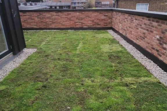 Green Roof Solutions - From Design To Delivery | Proteus